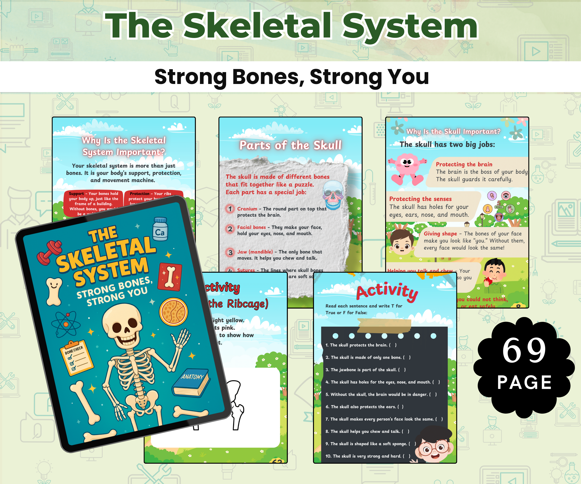 The Skeletal System: Strong Bones, Strong You – My Little Brainy