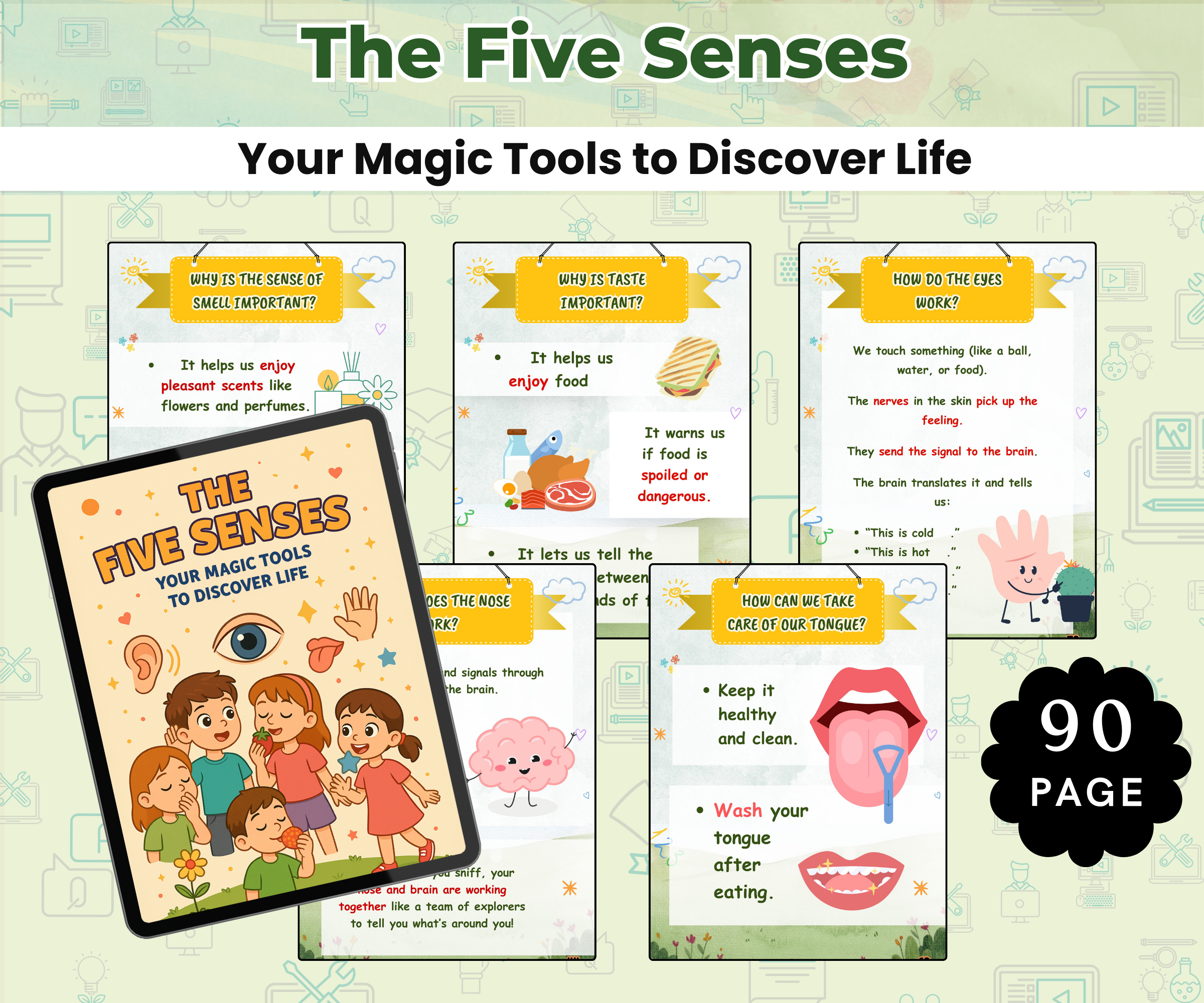 The Five Senses: Your Magic Tools to Discover Life – My Little Brainy