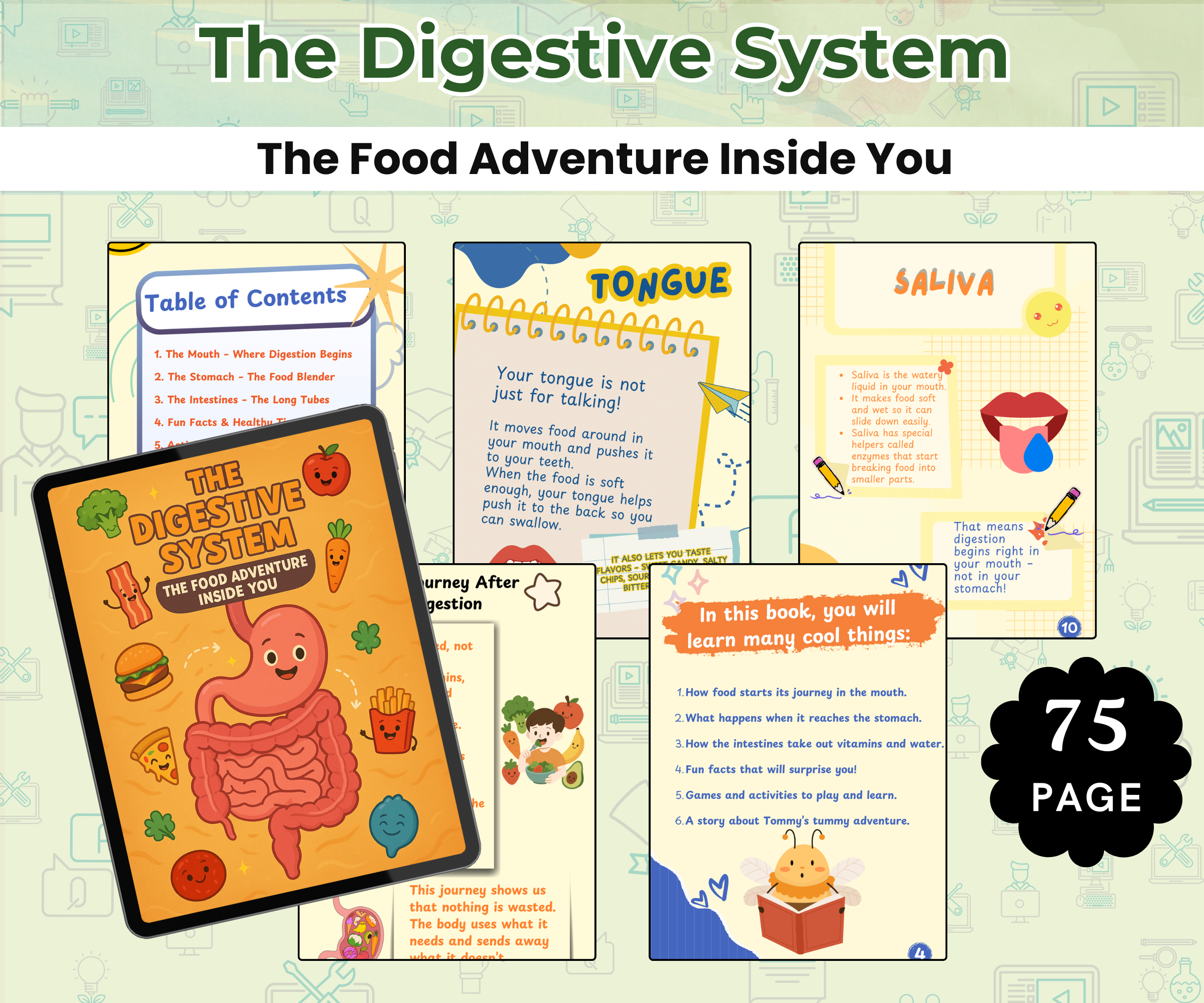 The Digestive System: The Food Adventure Inside You – My Little Brainy