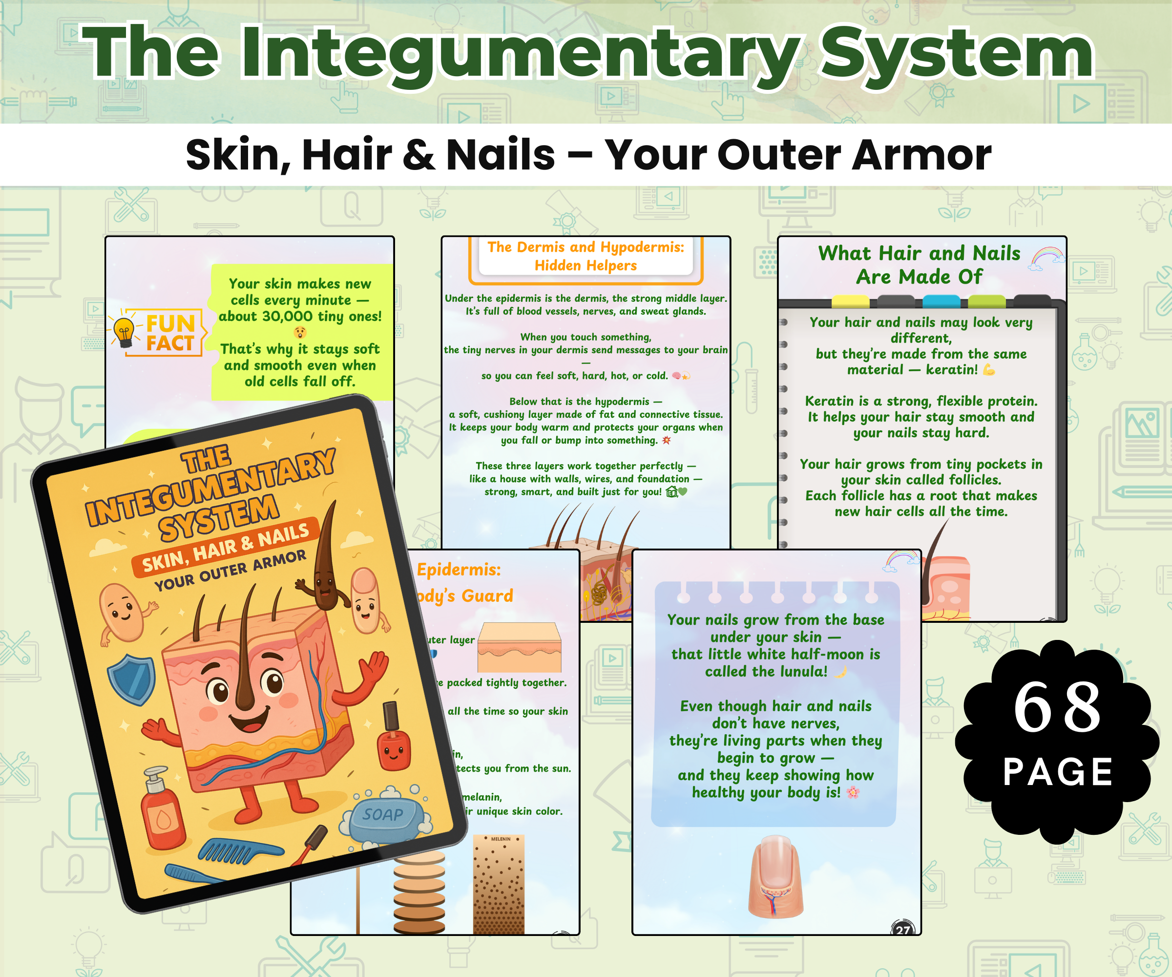 The Integumentary System: Skin, Hair & Nails – Your Outer Armor – My ...