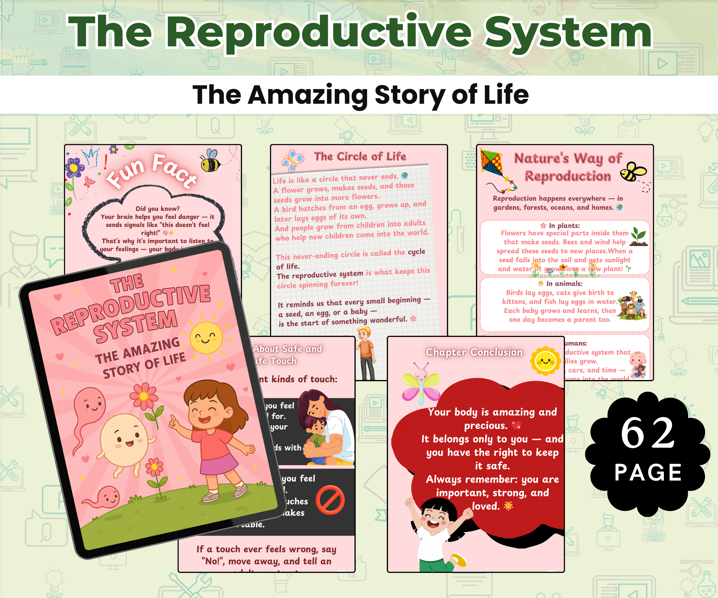 The Reproductive System: The Amazing Story of Life – My Little Brainy